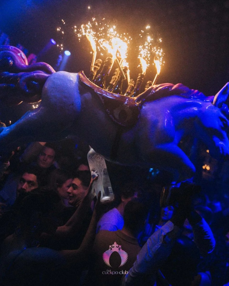 Cuckoo London Club – Luxurious Mayfair Nightlife Experience – BEST ...